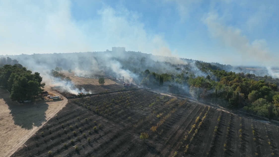Oltre 3600 incendi in Puglia dall’inizio dell’estate: 193 nella BAT e ...